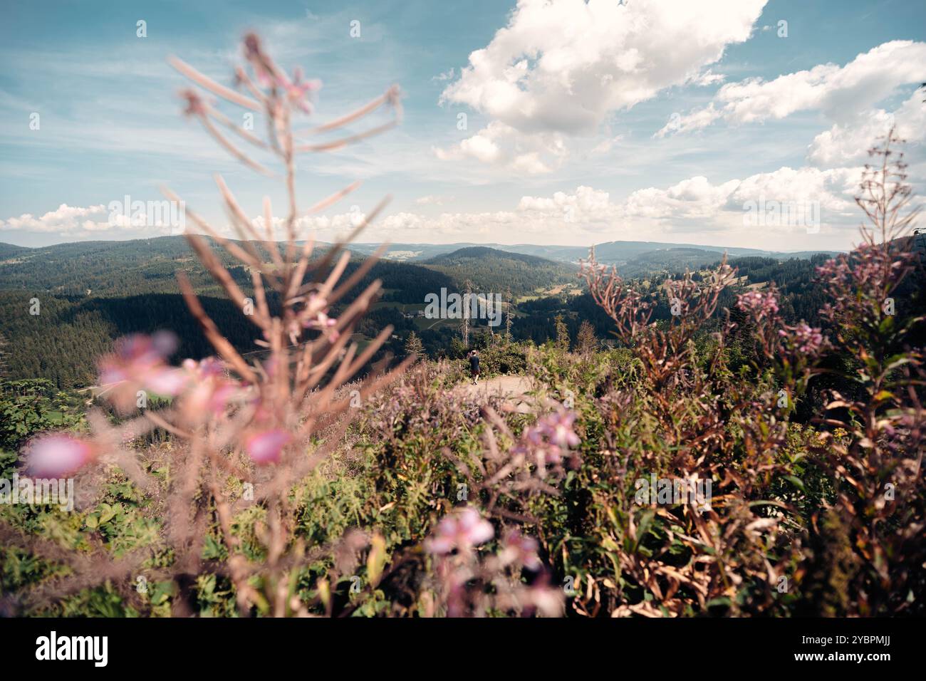 Shot on the 23rd of August 2023 on a family holiday in the Black Forest ...