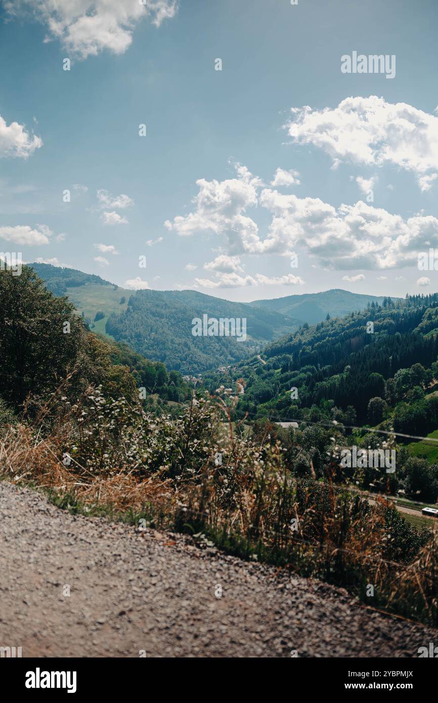 Shot on the 23rd of August 2023 on a family holiday in the Black Forest ...