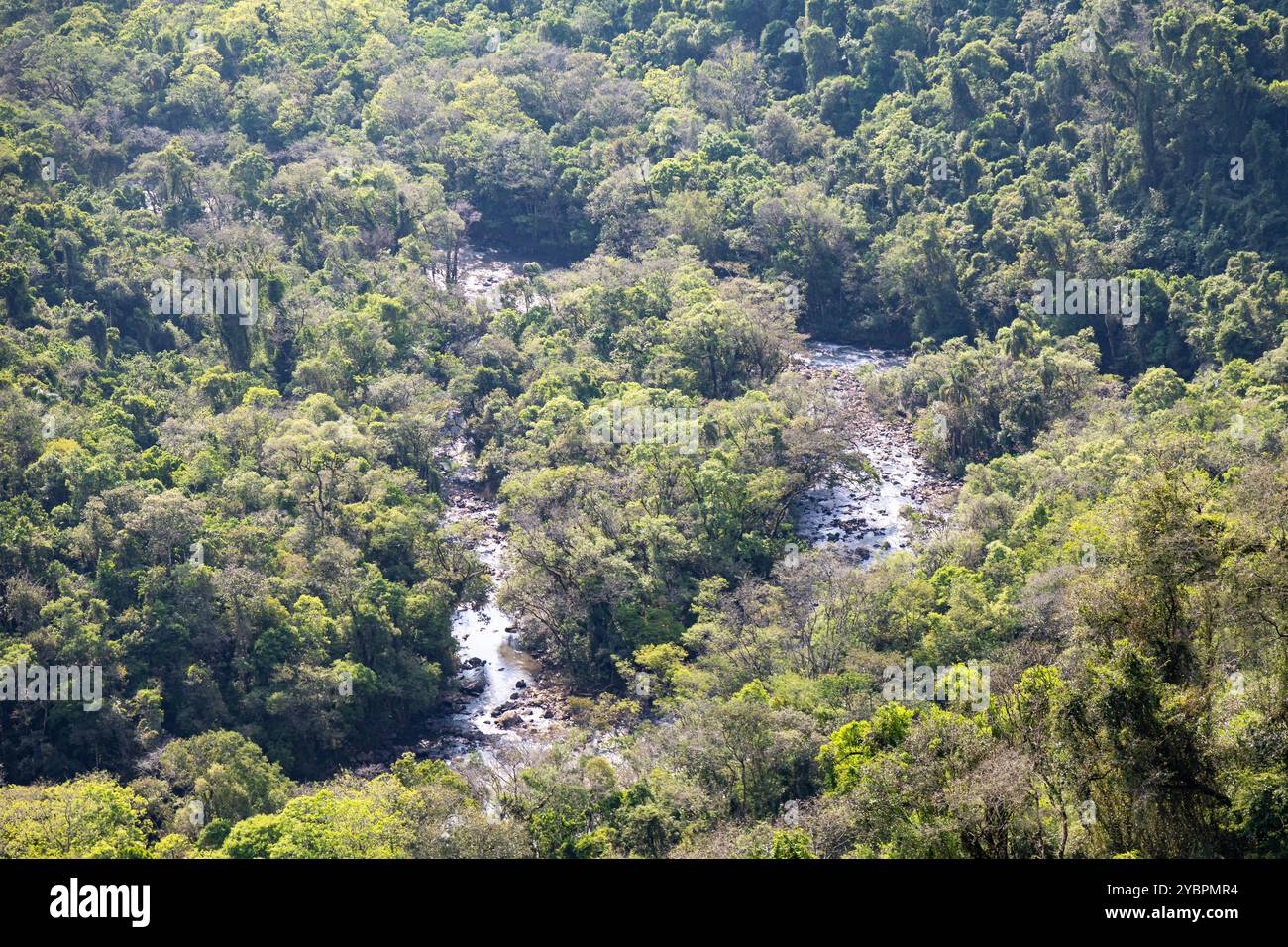 Natural wild landscape of the Atlantic Forest and Brazilian rainforest ...