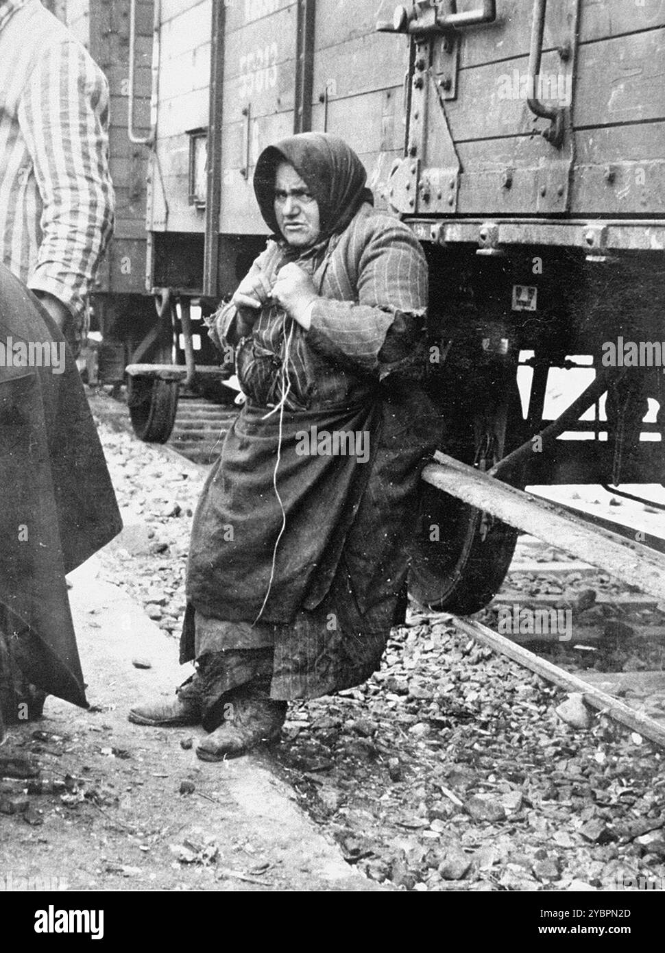 Jewish deportation hungary 1944 Black and White Stock Photos & Images ...