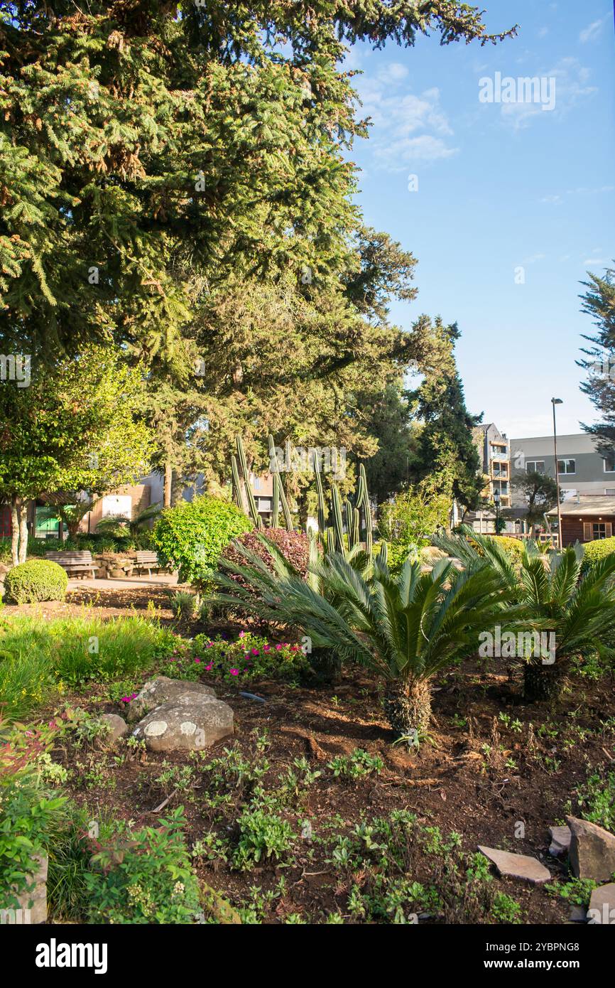 Canela, Brazil - October 15th 2024: A view of Joao Correa square in ...
