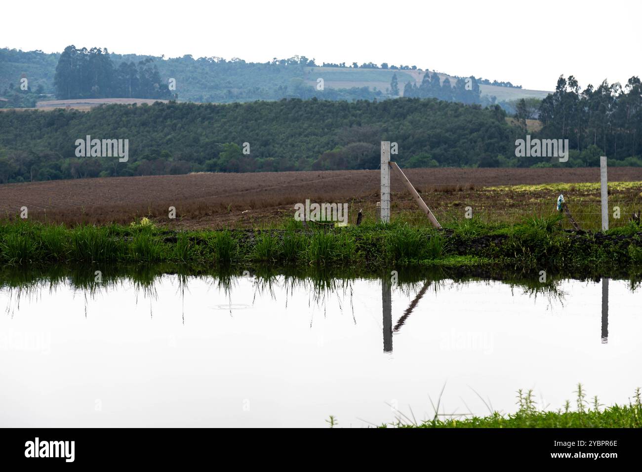 Natural wild landscape of the Atlantic Forest and Brazilian rainforest ...