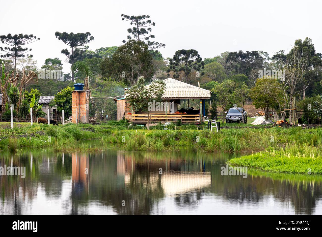 Natural wild landscape of the Atlantic Forest and Brazilian rainforest ...