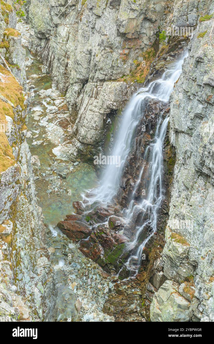 Clyde valley gorge hi-res stock photography and images - Alamy