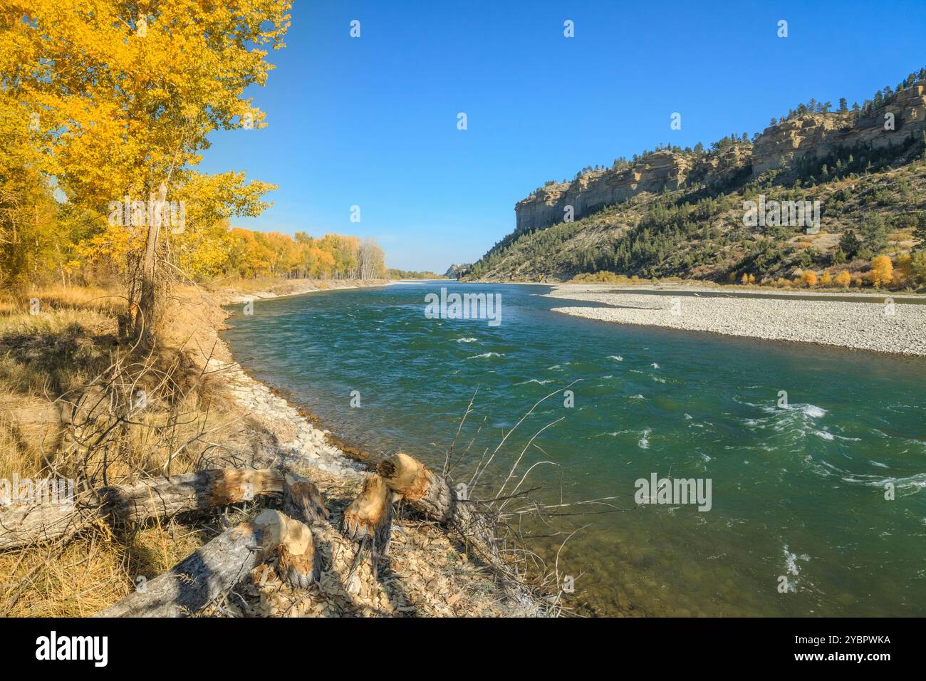 Mt d8467 hi-res stock photography and images - Alamy