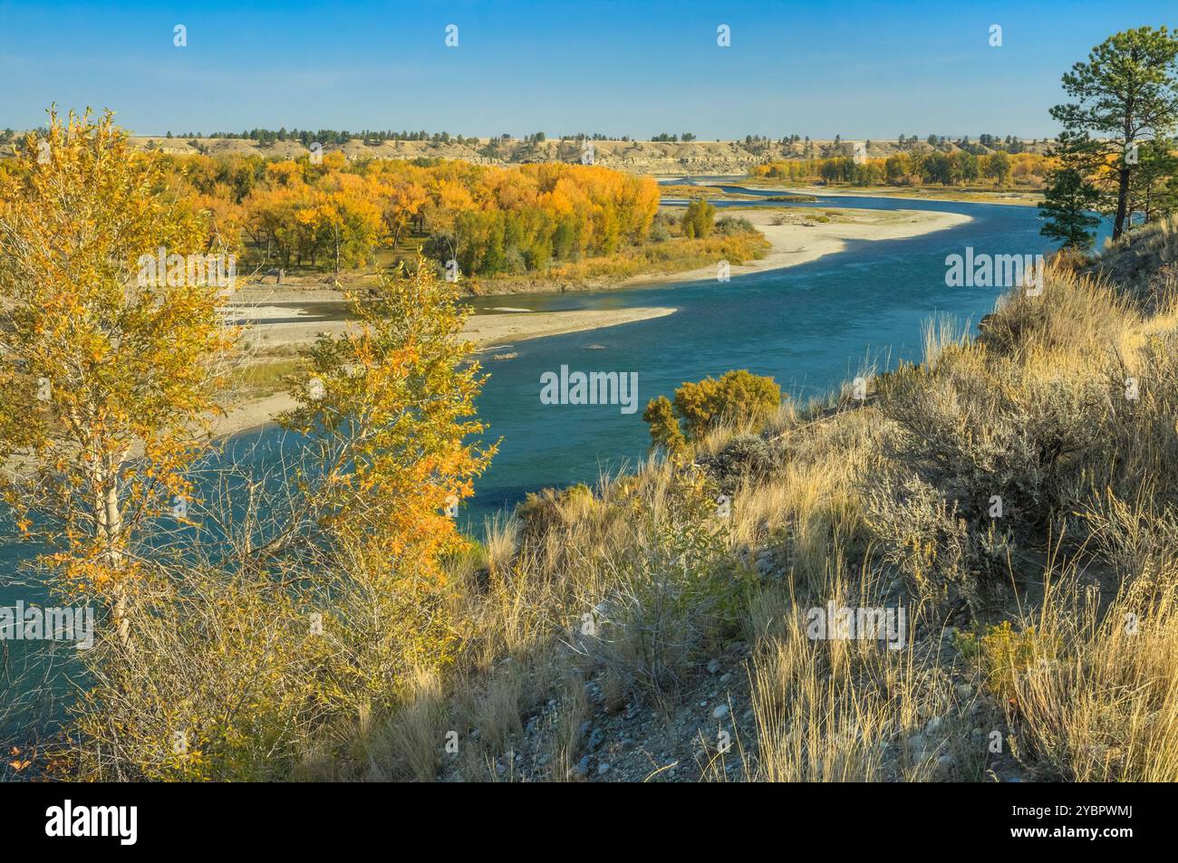 fall colors along the yellowstone river near custer, montana Stock ...