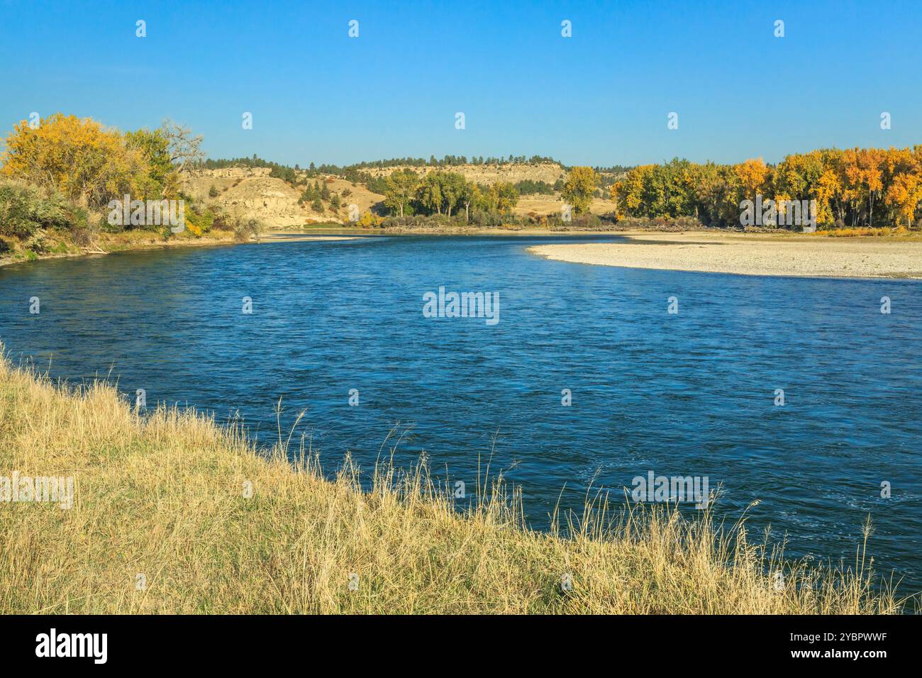 yellowstone river in fall near pompeys pillar, montana Stock Photo - Alamy