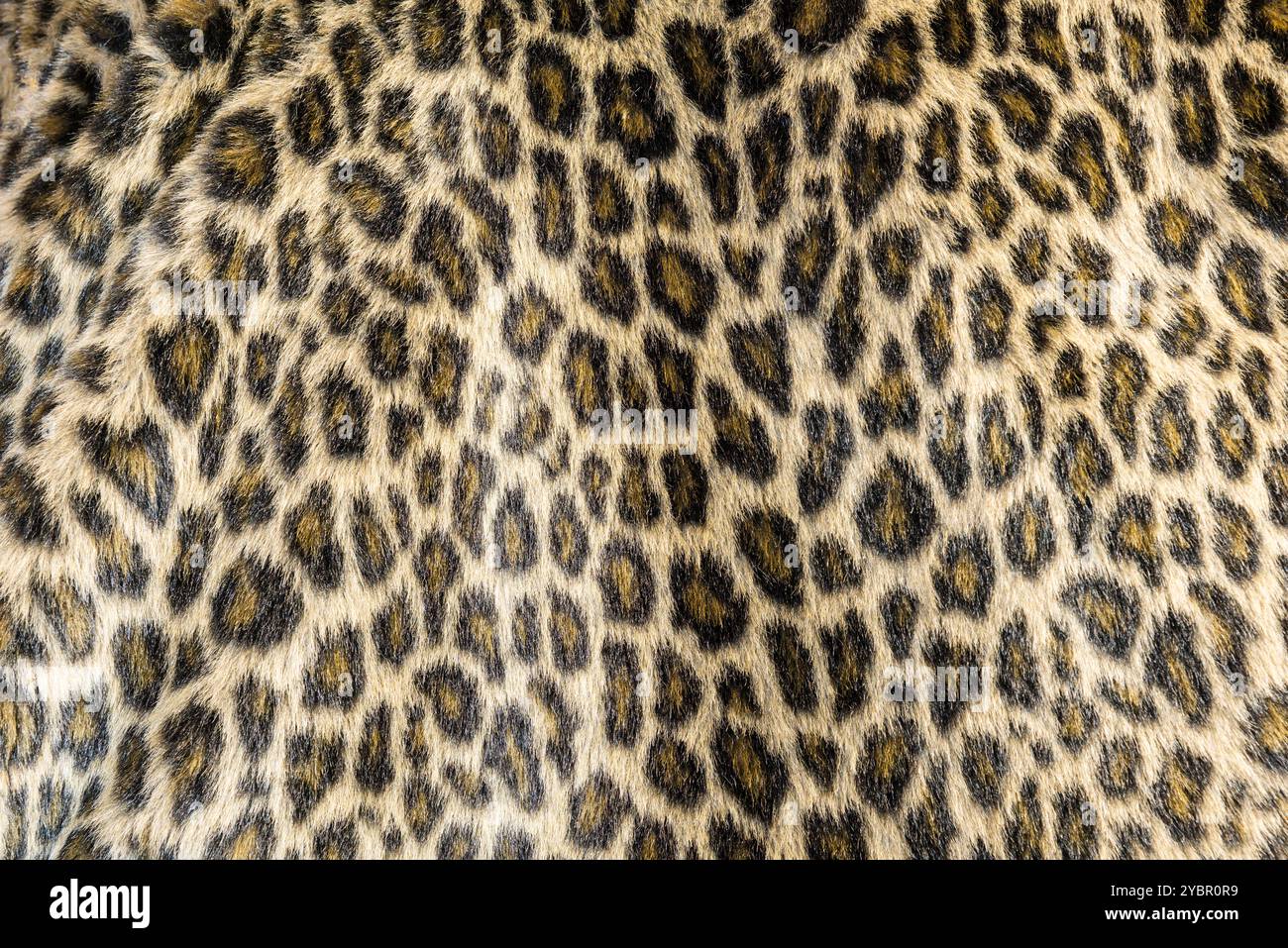 Piel textura hi-res stock photography and images - Alamy