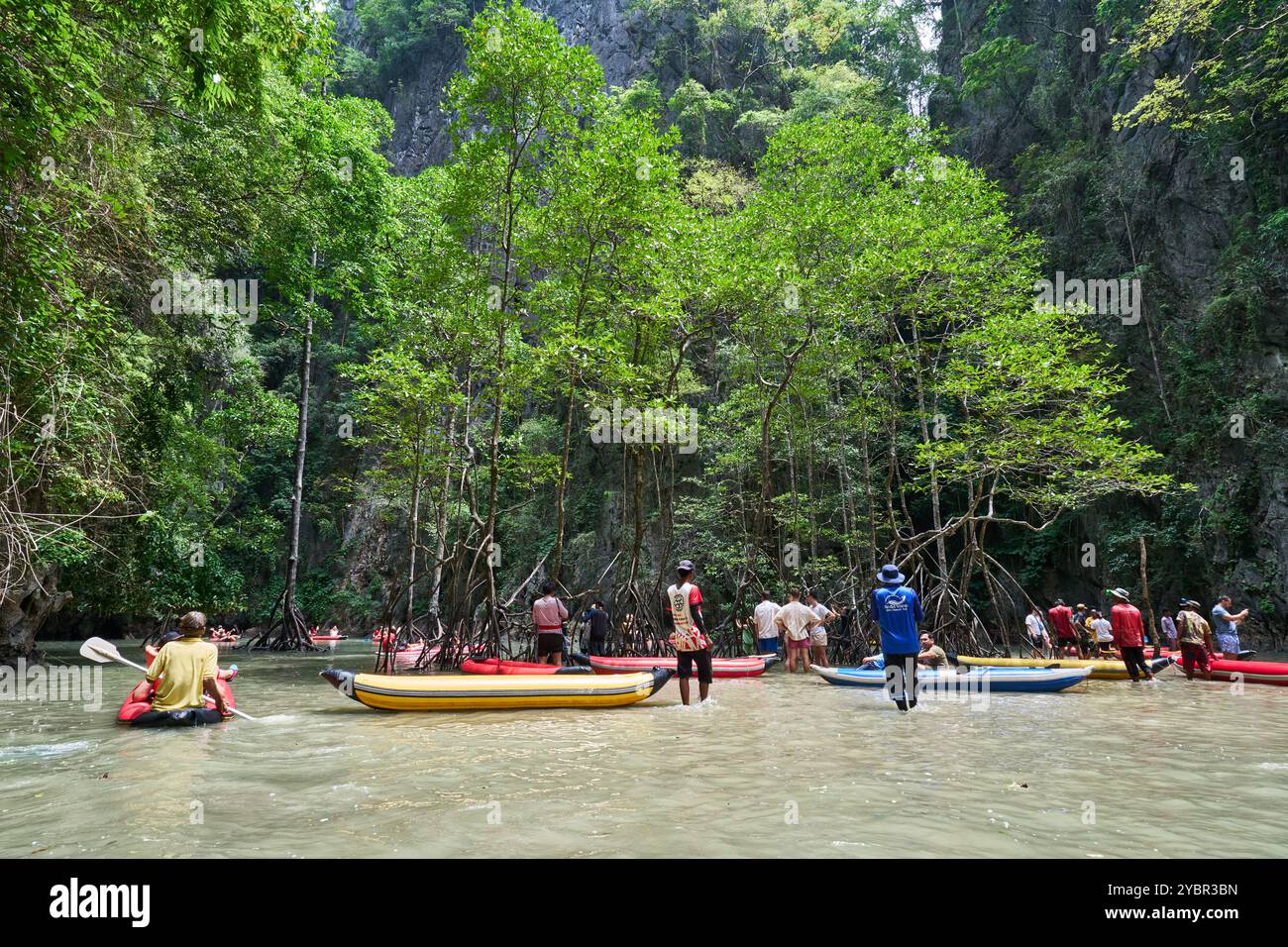Mangrove cave at Panak island of Ao Phang Nga National Park, Thailand ...