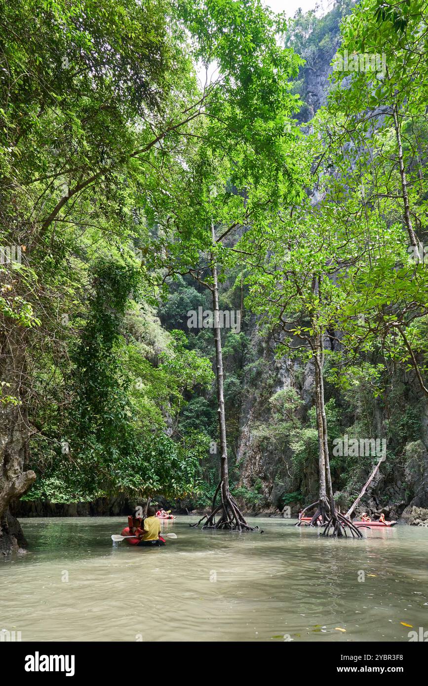Mangrove cave at Panak island of Ao Phang Nga National Park, Thailand ...