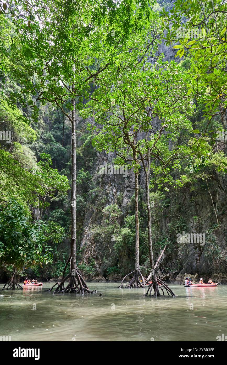 Mangrove cave at Panak island of Ao Phang Nga National Park, Thailand ...