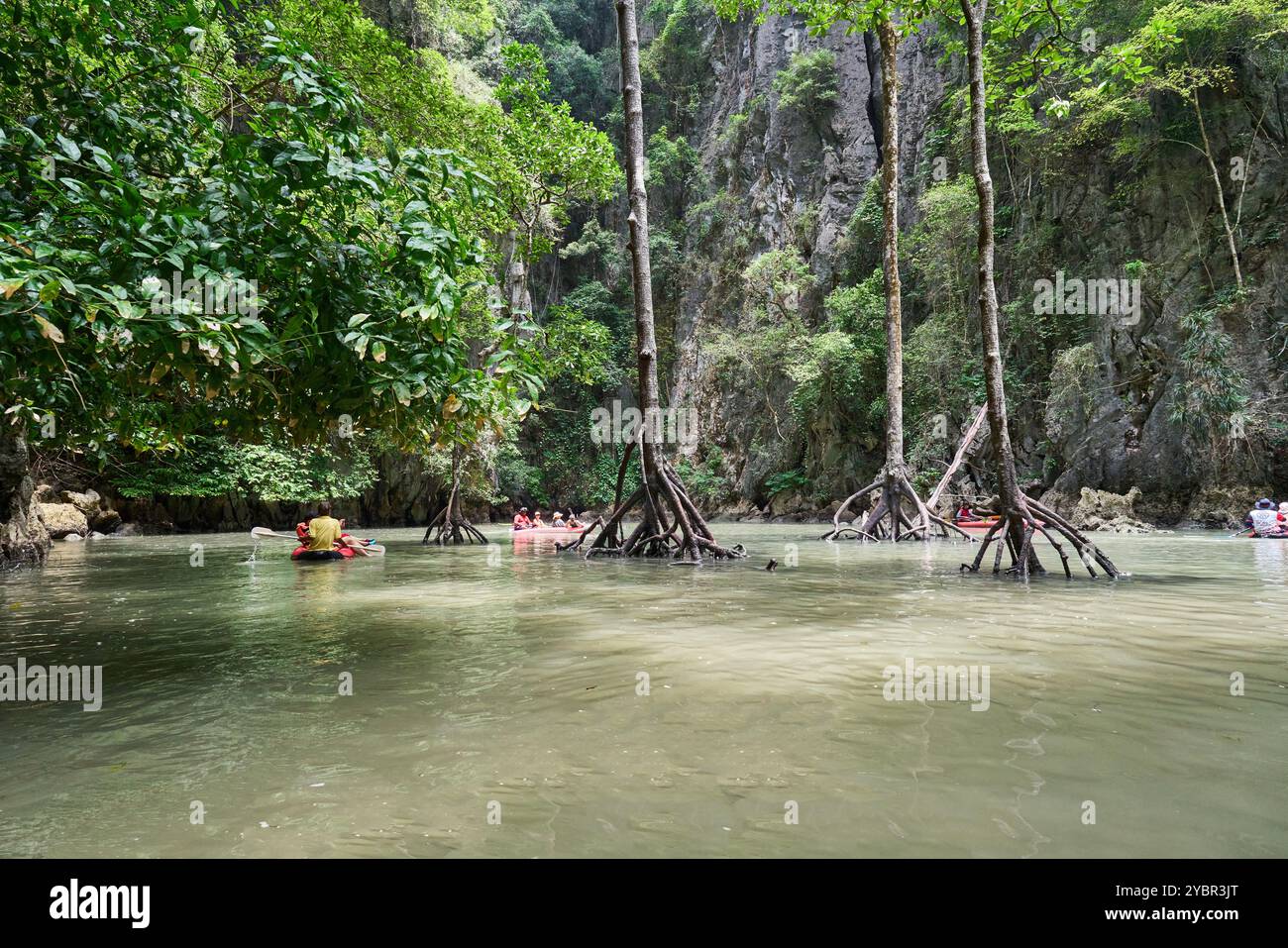 Mangrove cave at Panak island of Ao Phang Nga National Park, Thailand ...