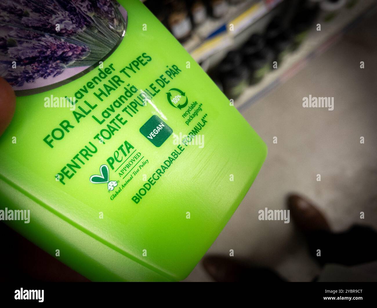 BELGRADE, SERBIA - AUGUST 2, 2024: A close-up of a shampoo bottle ...