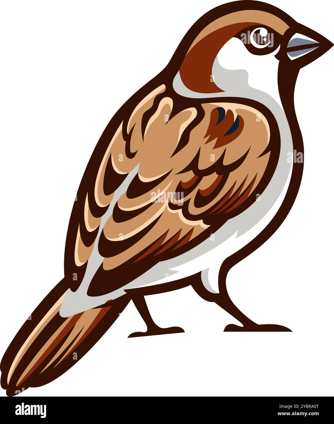 Detailed sparrow Stock Vector Images - Alamy