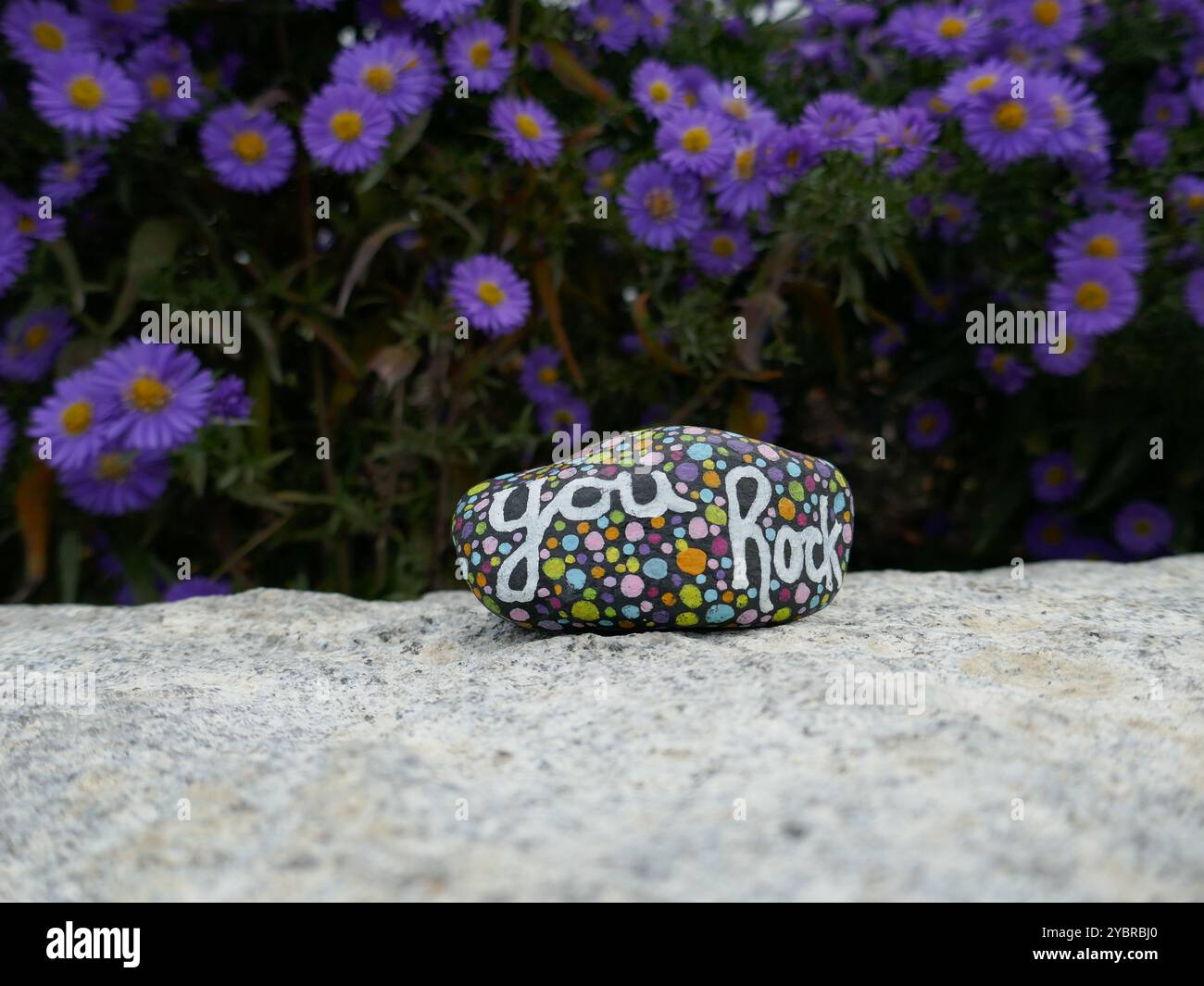 Kindness rock with painted you rock message on stone surface and purple ...