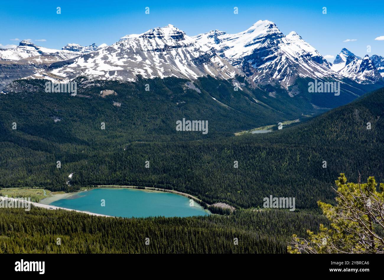 Wapta Lake, seen from Paget Lookout in Yoho National Park, British ...