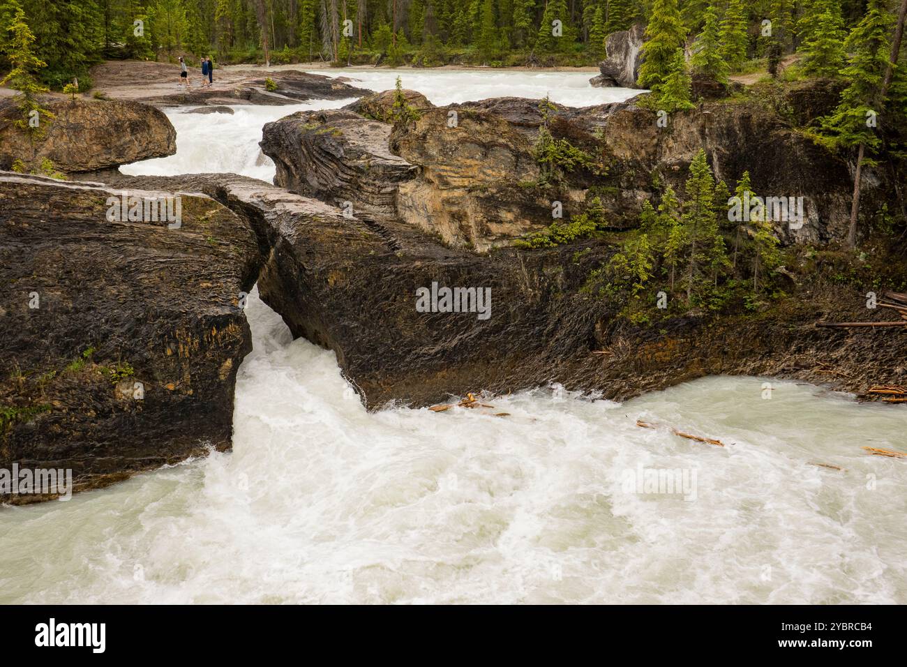 The Kicking Horse River flows under the Natural Bridge in Yoho National ...