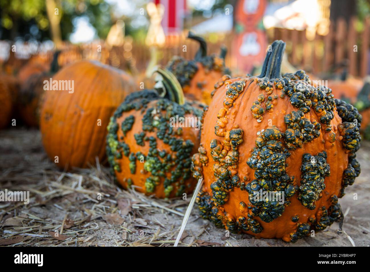 Earthy outdoors october hi-res stock photography and images - Alamy