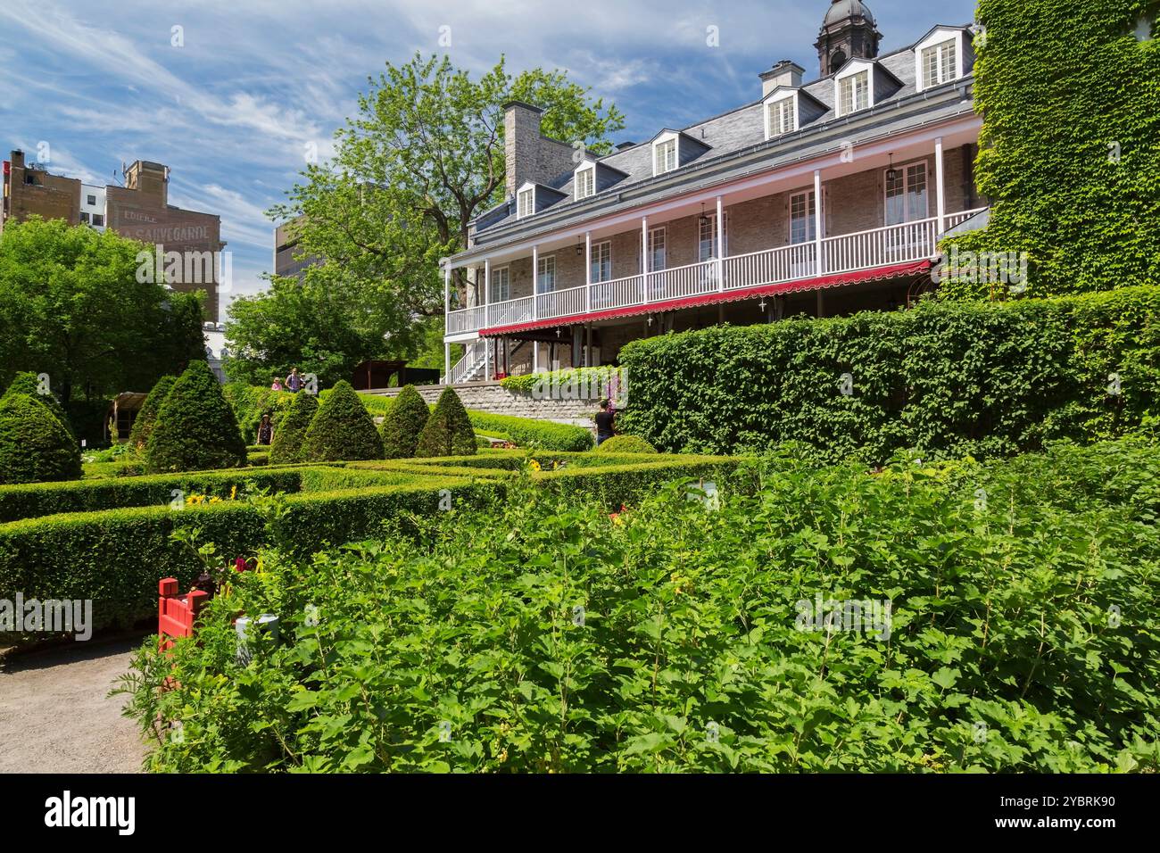 Tourists in The Governor's divided plants and vegetable garden plots ...