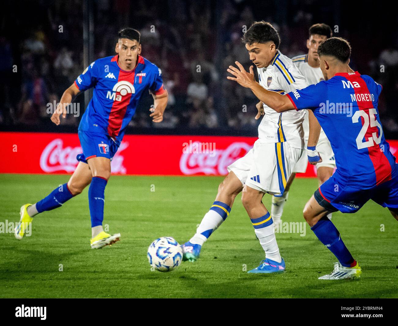 Tigre azul hi-res stock photography and images - Alamy