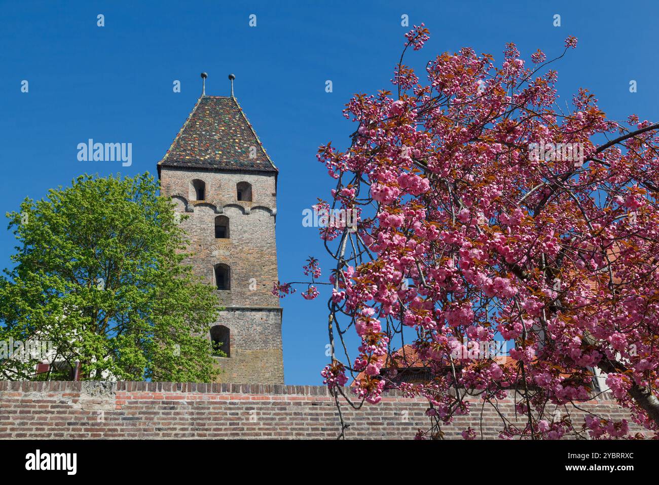 The fortress of stone, historical medieval city walls of Ulm, Germany ...