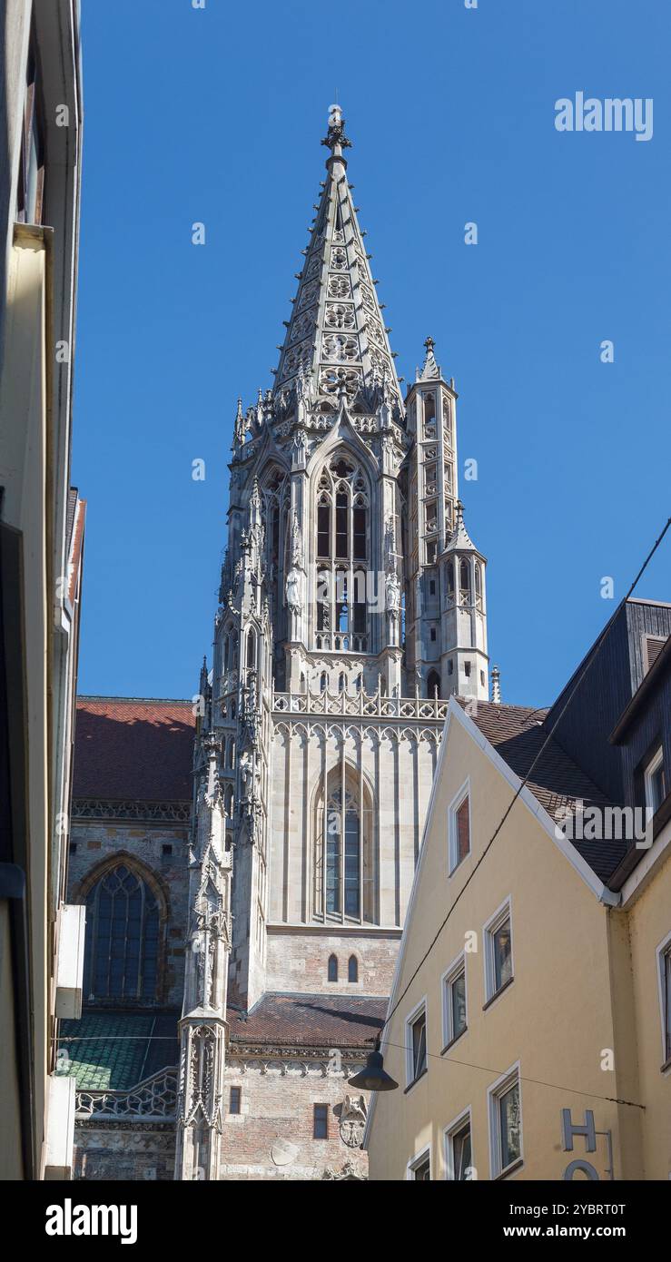 The historic Ulm Munster gothic cathedral in downtown, Germany Stock ...