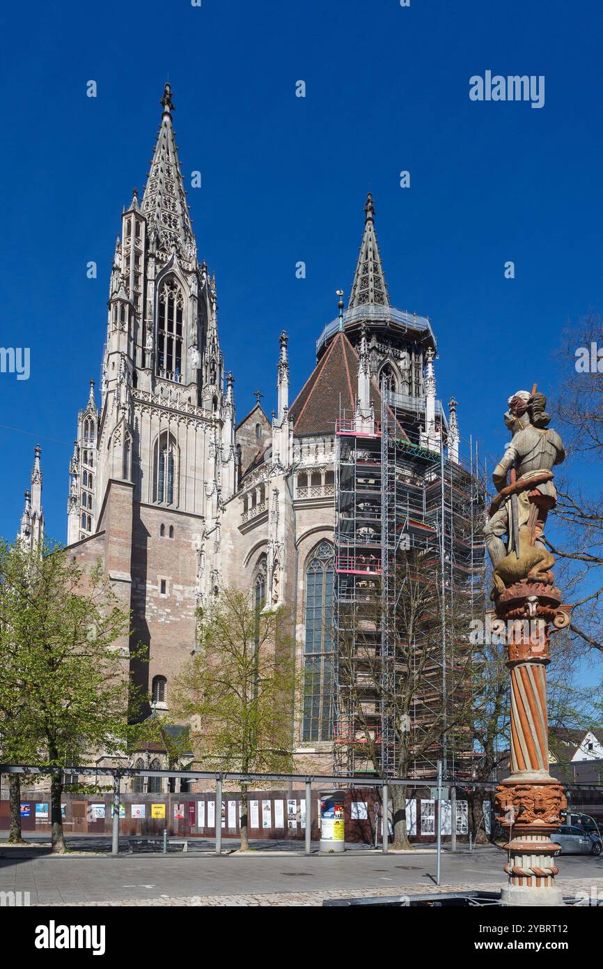 The historic Ulm Munster gothic cathedral in downtown, Germany Stock ...