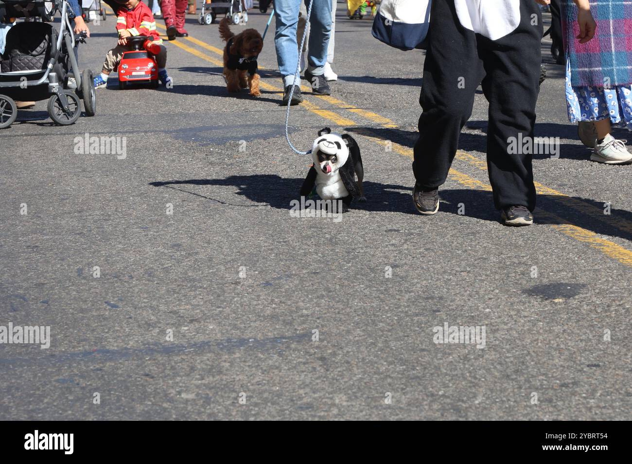 Dog in costume at the Tompkins Square Halloween Dog Parade 2024 held at ...