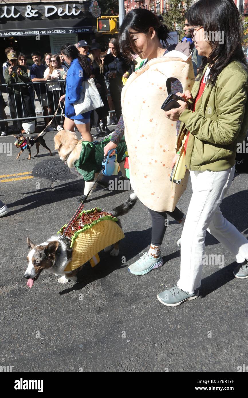 Dog in taco costume at the Tompkins Square Halloween Dog Parade 2024 ...
