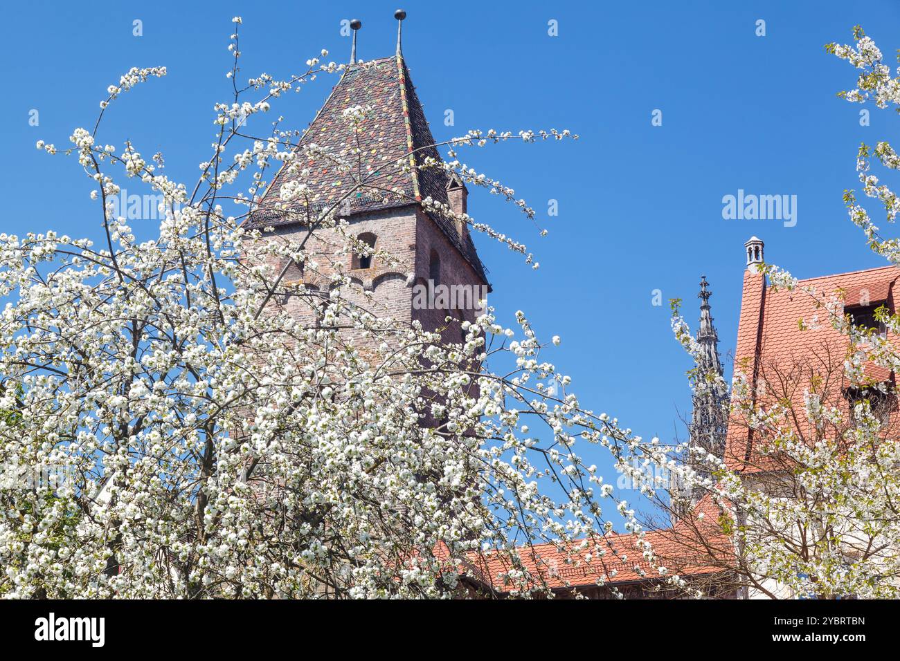 The fortress of stone, historical medieval city walls of Ulm, Germany ...