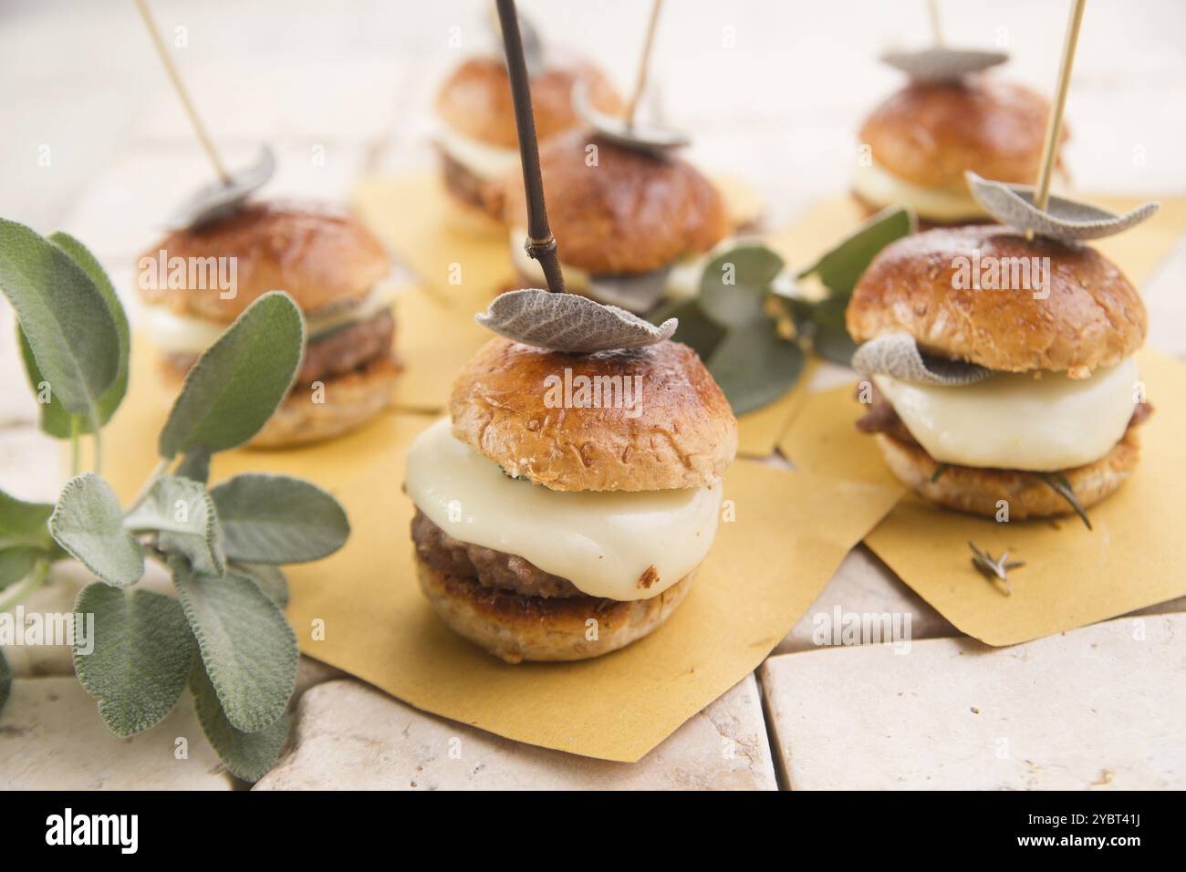 Small hamburger meat and cheese with sage leaves Stock Photo - Alamy