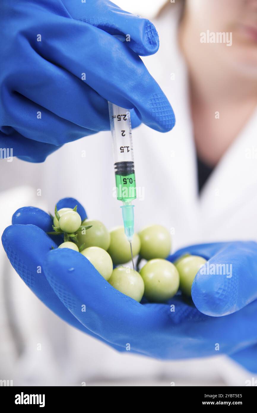 Presentation of the laboratory stage to the practice of the GMO Stock ...