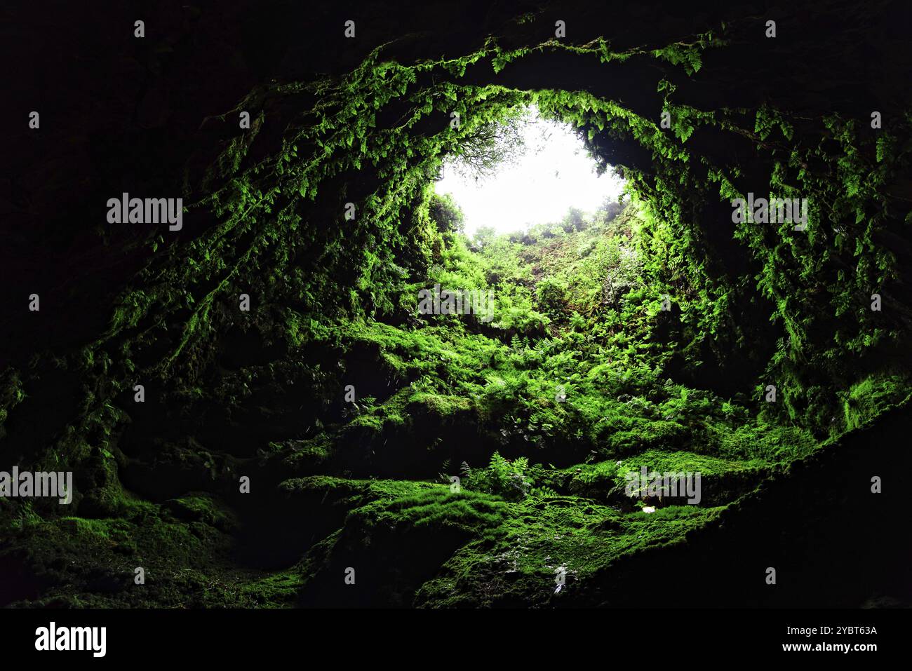 Ancient energy sources hi-res stock photography and images - Alamy