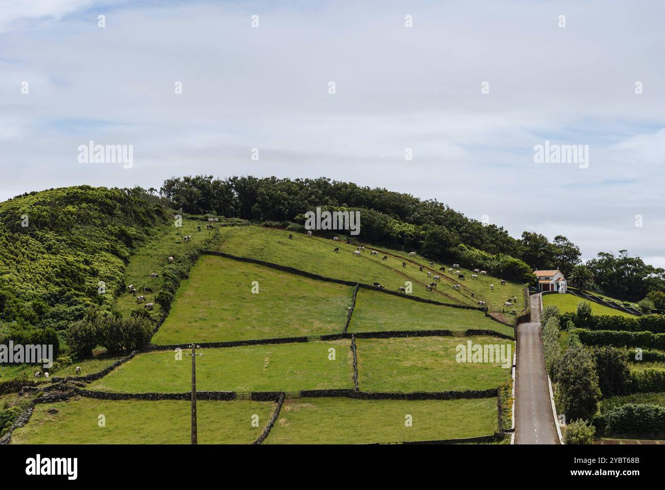 Road through traditional rural landscape in Terceira Island a sunny day ...