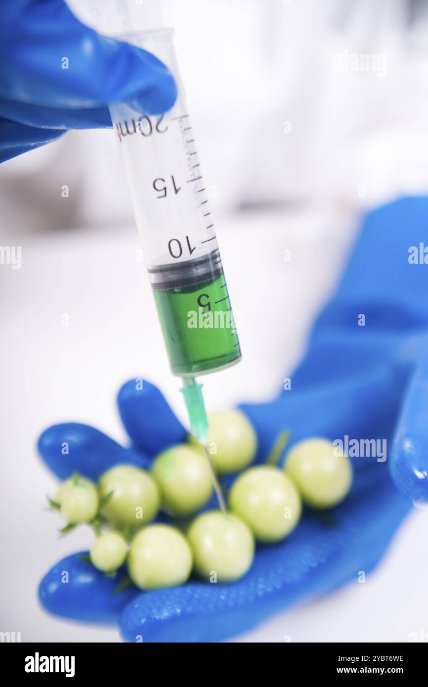 Presentation of the laboratory stage to the practice of the GMO Stock ...