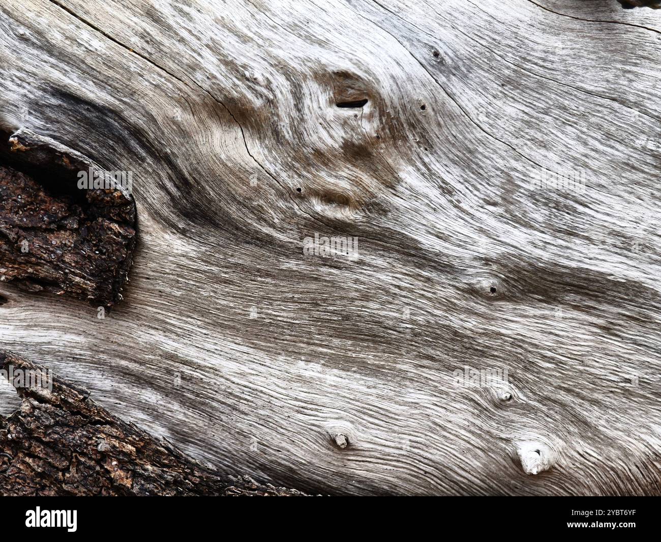 Highlighting shades hi-res stock photography and images - Alamy