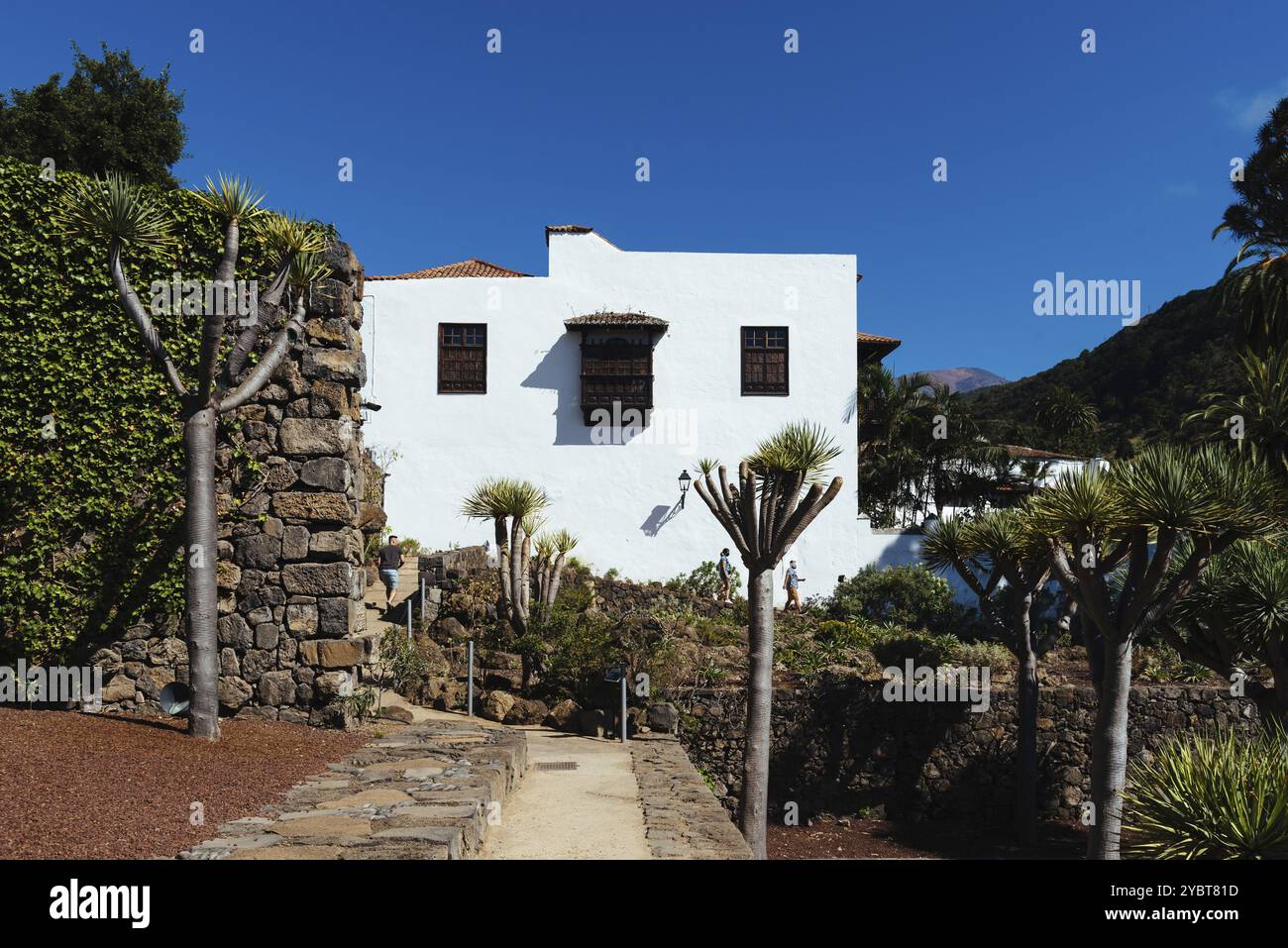 Icod de los Vinos, Spain, August 12, 2021: Drago Park around Drago ...
