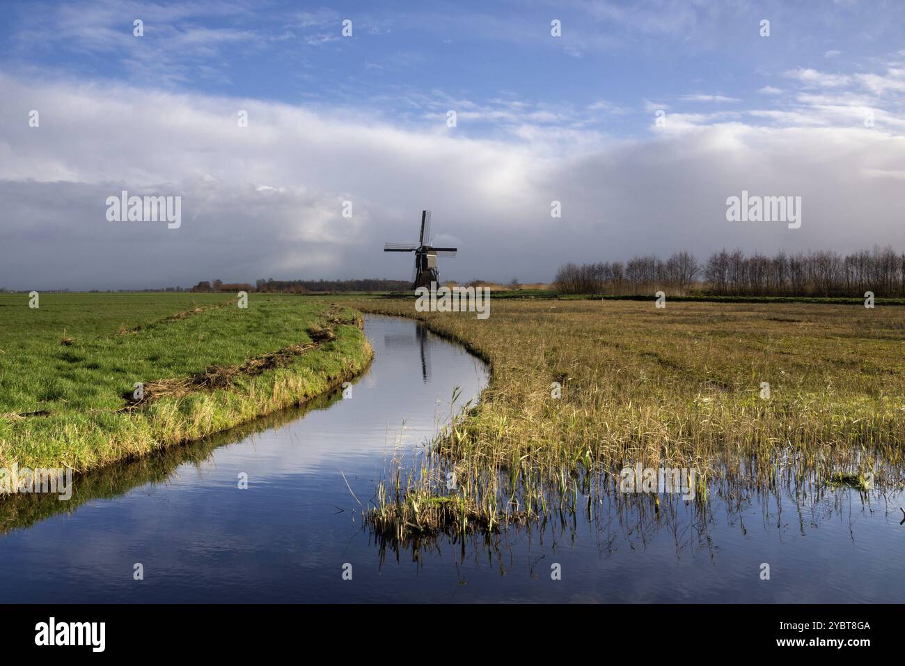 Dutch polder landscape with a windmill in the region Alblasserwaard ...