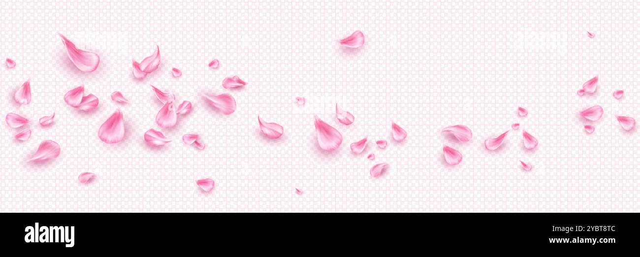 Pink flower petals flying isolated on transparent background. Vector ...