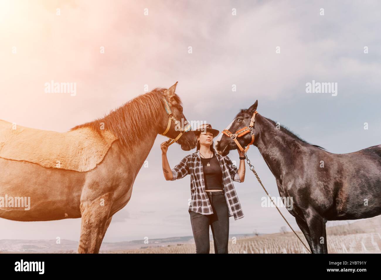 Woman Horses Field - Cowgirl Standing Between Two Horses In Field ...