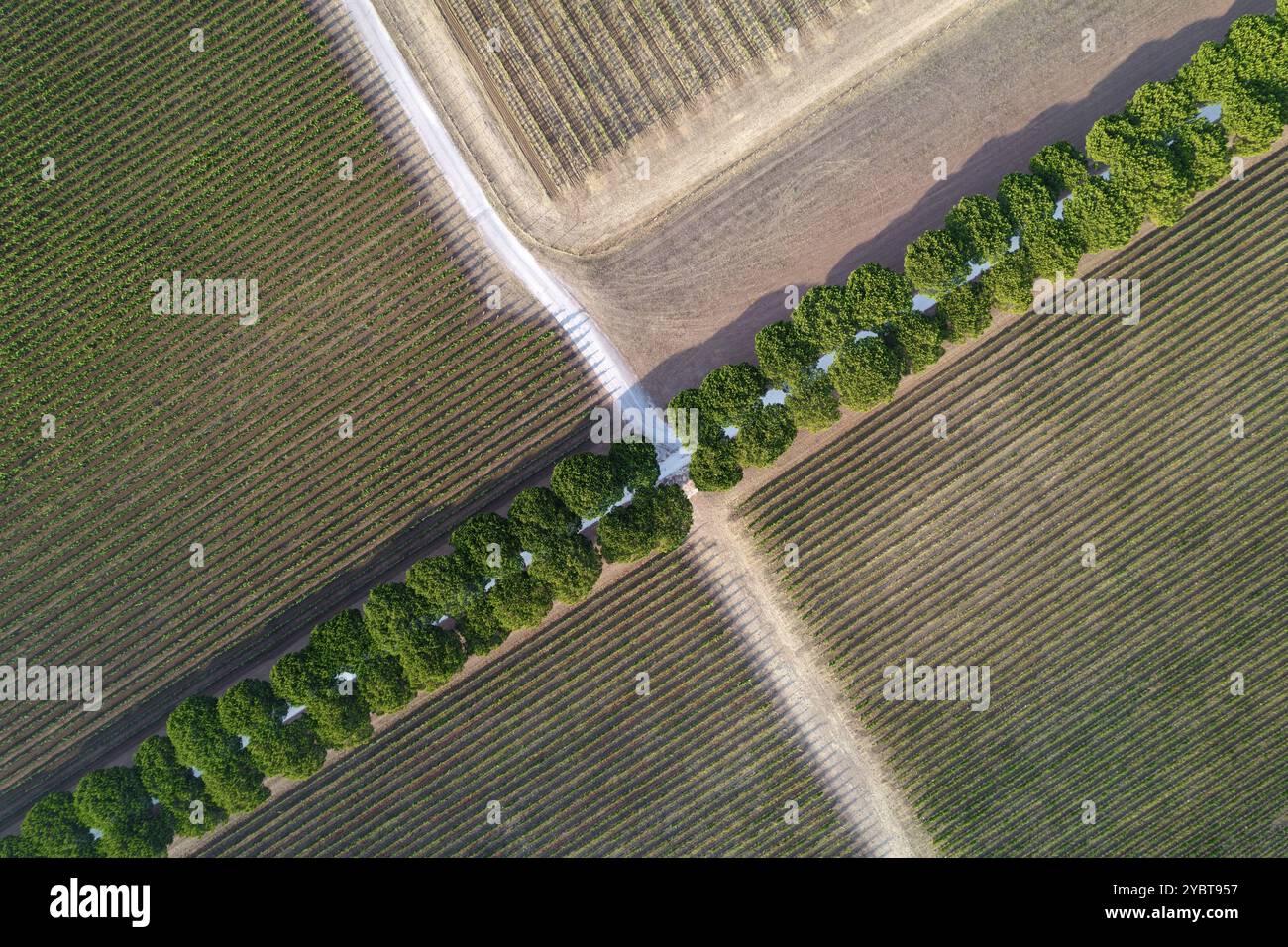 Tuscany road aerials hi-res stock photography and images - Alamy