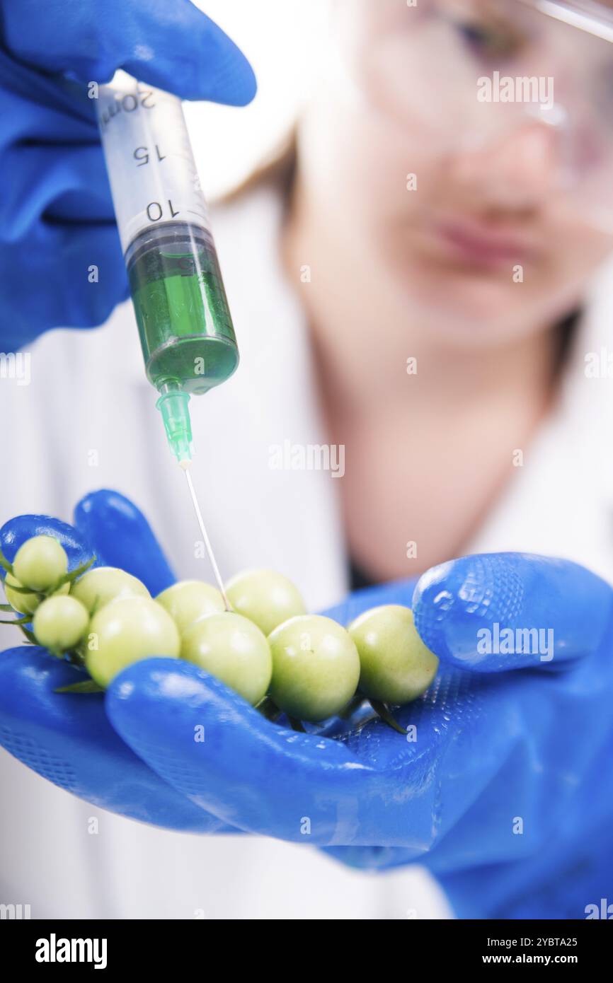 Gmo experiment hi-res stock photography and images - Alamy