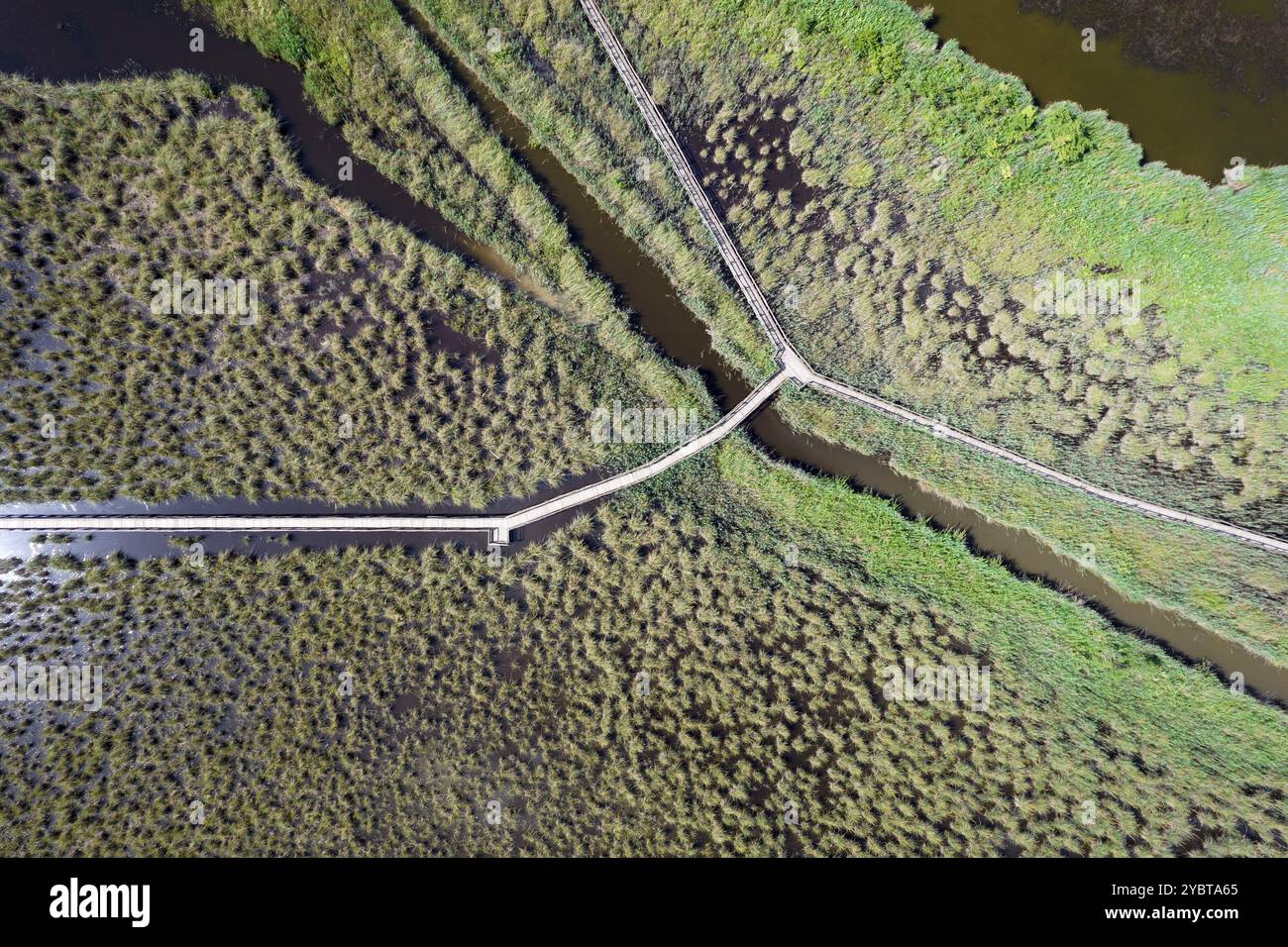 Aerial photo park sidewalk hi-res stock photography and images - Alamy