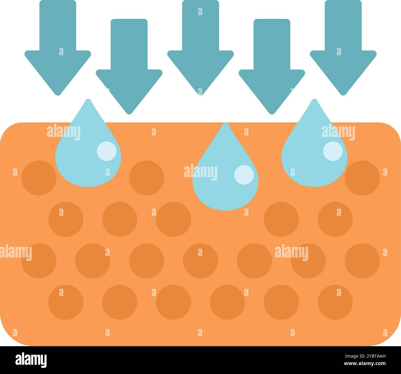 Water droplets penetrating skin surface showing skin hydration process ...