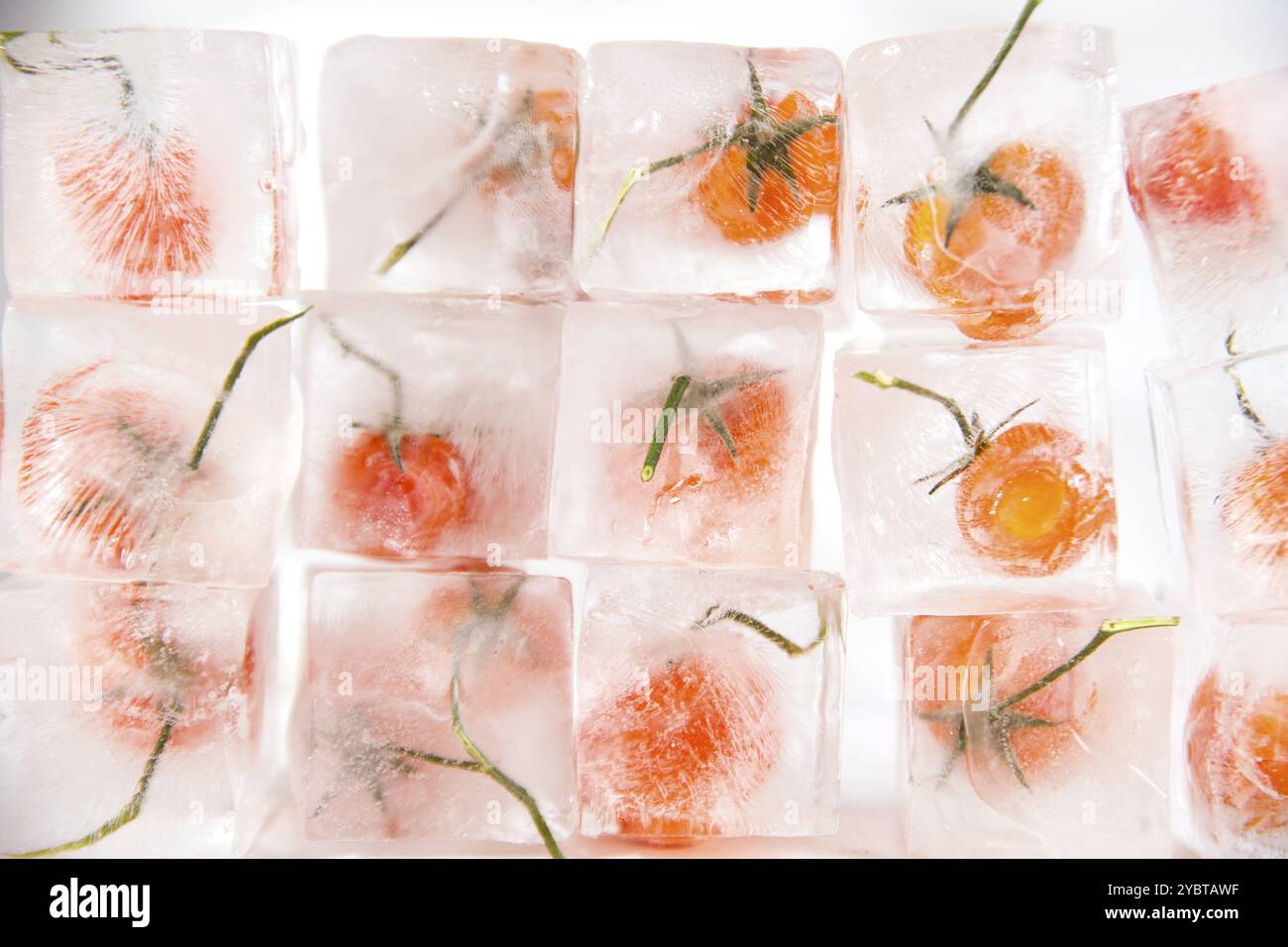 Presentation of ice cubes inside with grains of tomato Pachino Stock ...