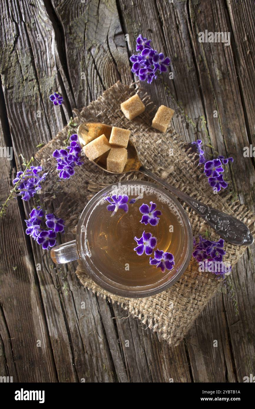 Tea served in a glass cup with garnish flower Duranta repens Stock ...