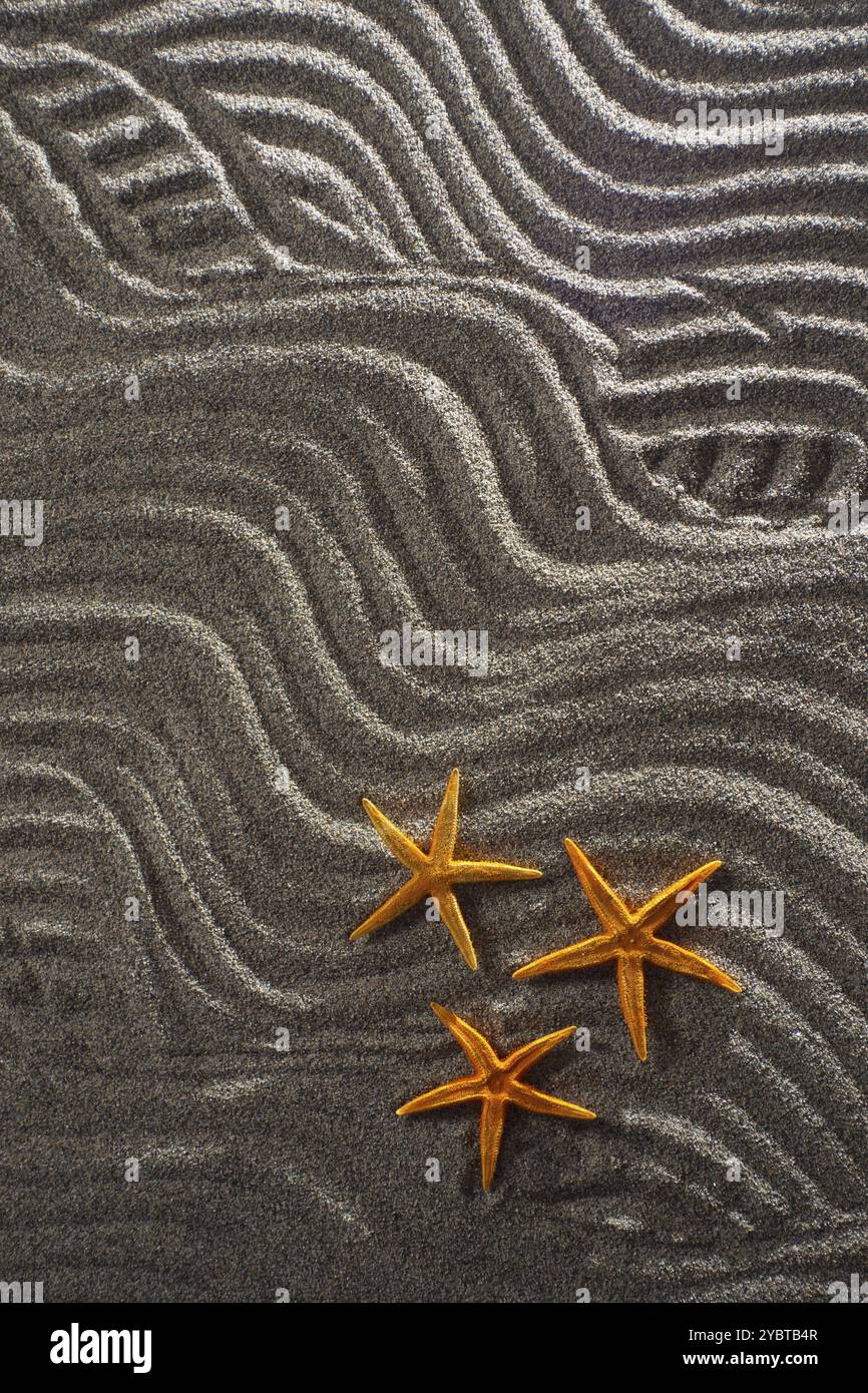 Background several wild animals hi-res stock photography and images - Alamy