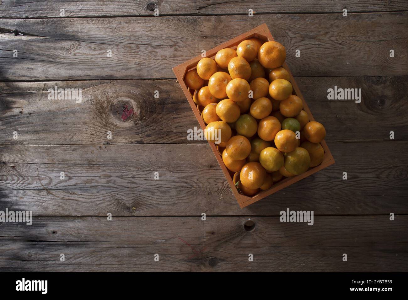 Presentation of the result of the collection of the fruit of the ...