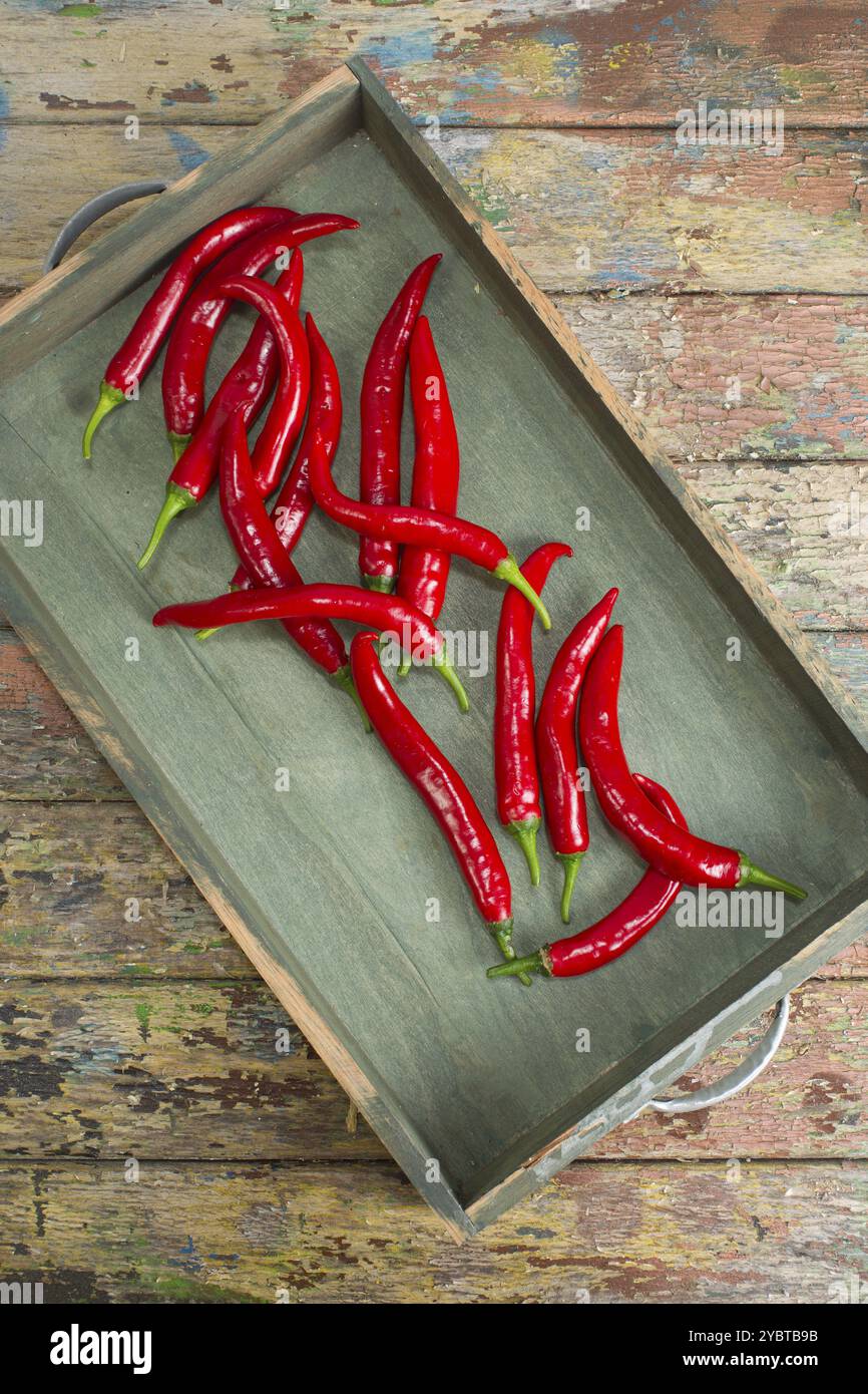 Representation red hi-res stock photography and images - Alamy