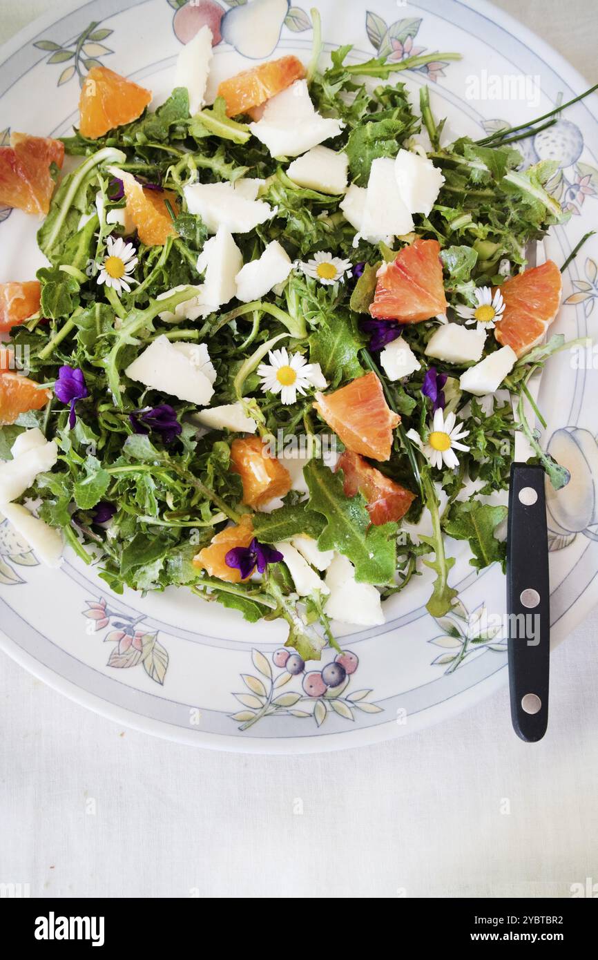 Grass based farming hi-res stock photography and images - Alamy